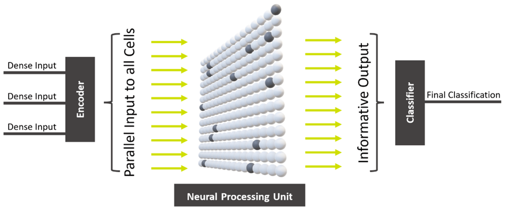 Building Your First NIML Model