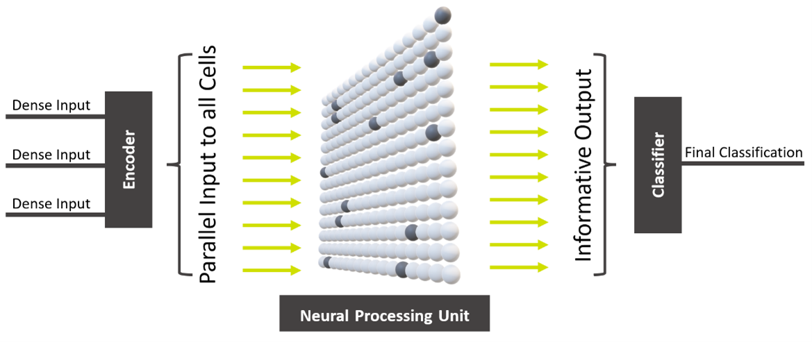 Building Your First NIML Model
